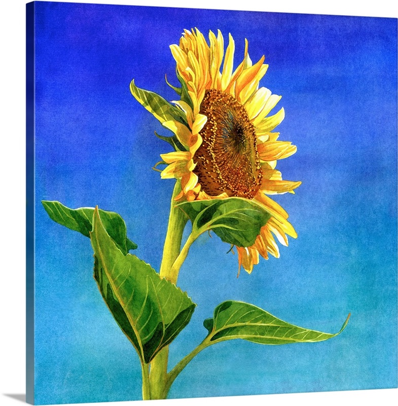 Highway Sunshine | Great Big Canvas