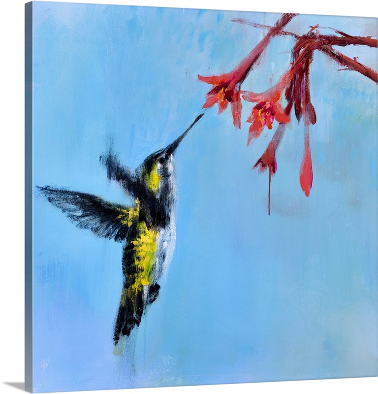 Hummingbird 2 | Great Big Canvas