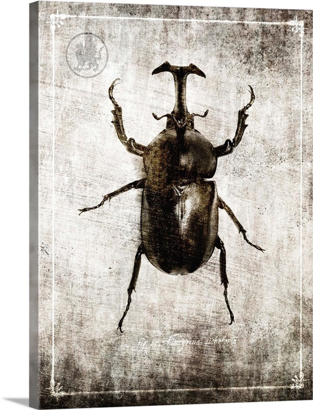 Macabre Collection VII | Great Big Canvas