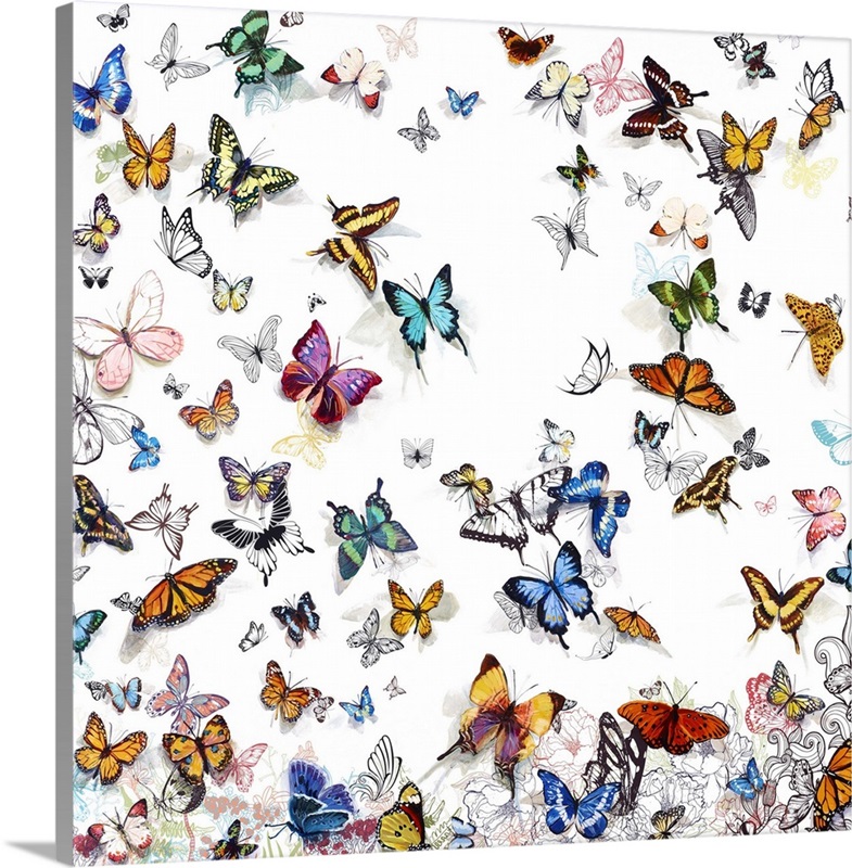 Papillon | Great Big Canvas