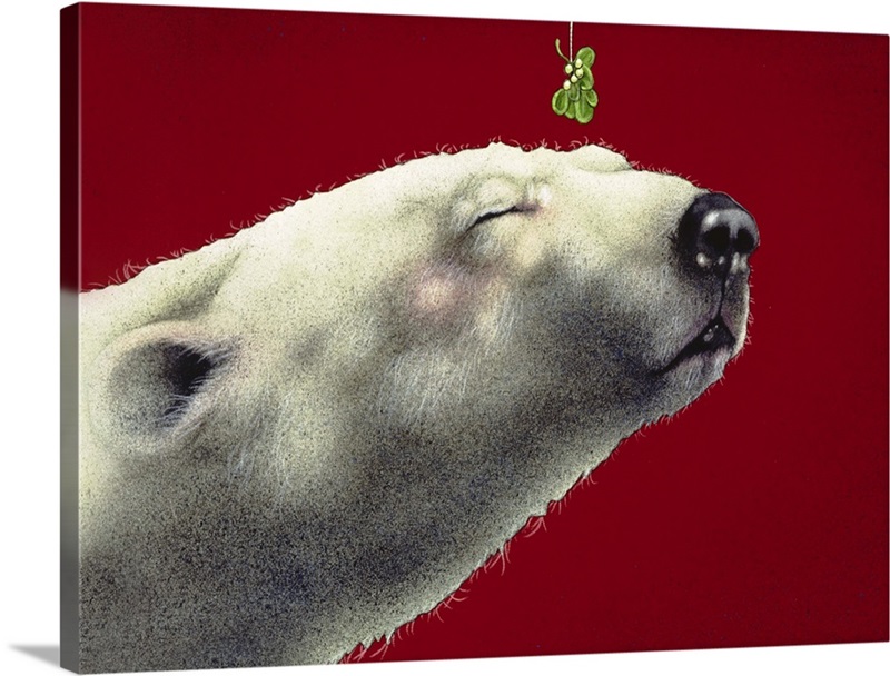 Polar Pucker | Great Big Canvas