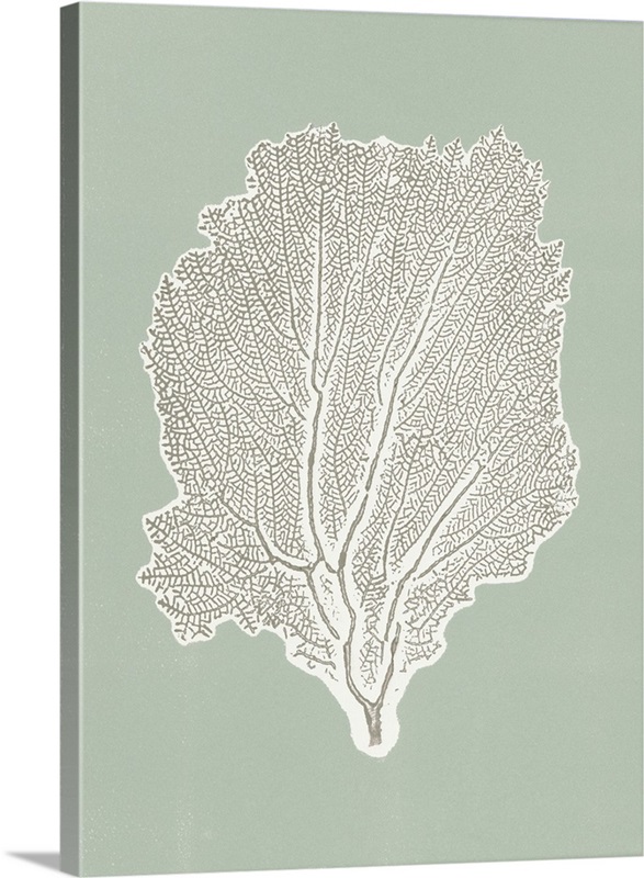 Sea Fan I | Great Big Canvas