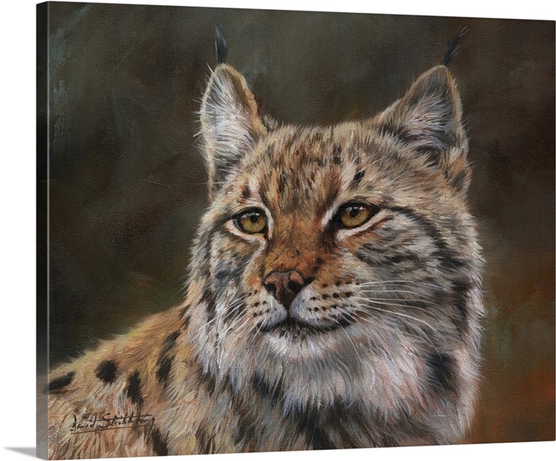 Eurasian Lynx | Great Big Canvas