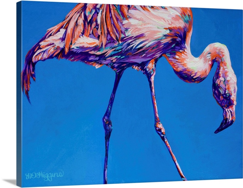 Flamingo | Great Big Canvas