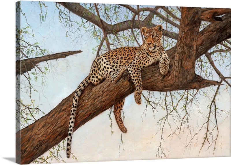 Leopard In Tree | Great Big Canvas