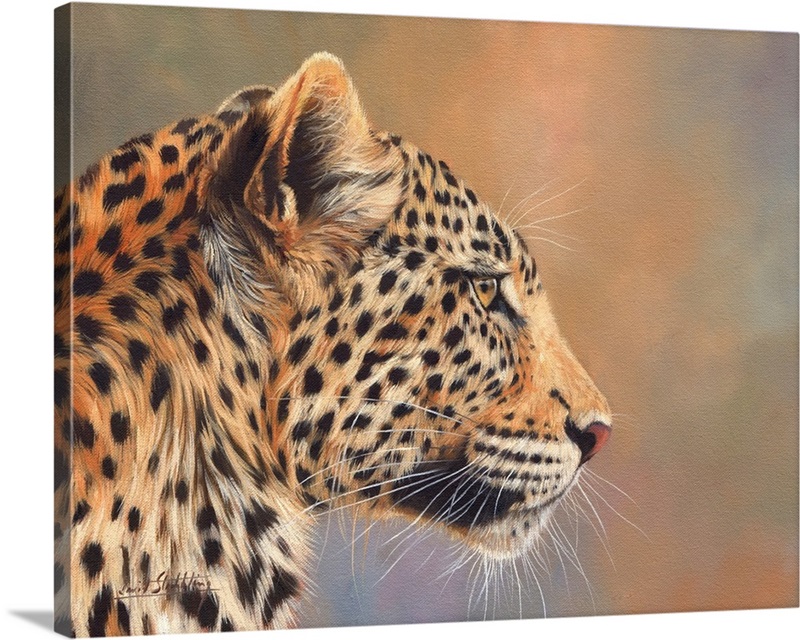 Leopard Profile | Great Big Canvas