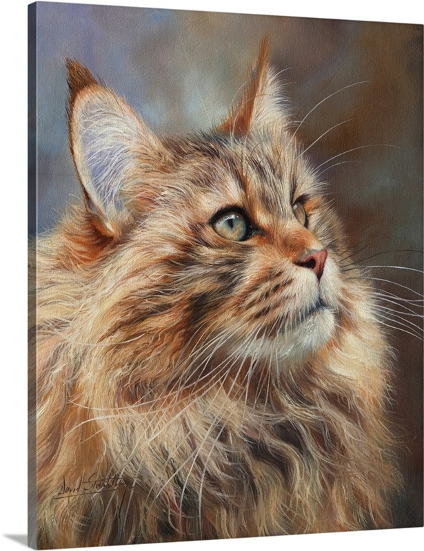 Maincoon Cat | Great Big Canvas