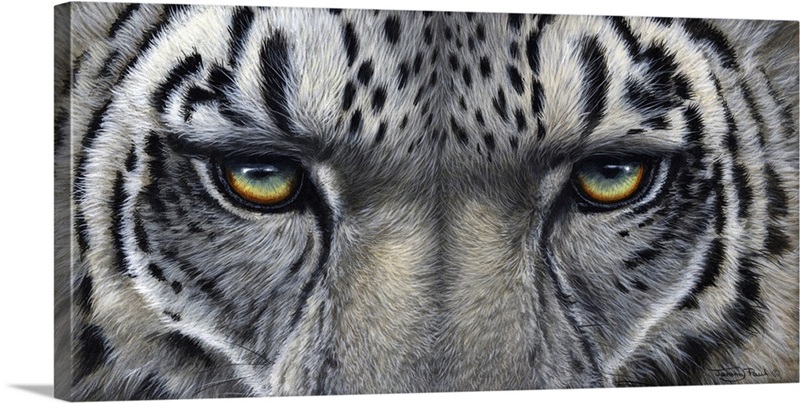 Snow Leopard Eyes | Great Big Canvas