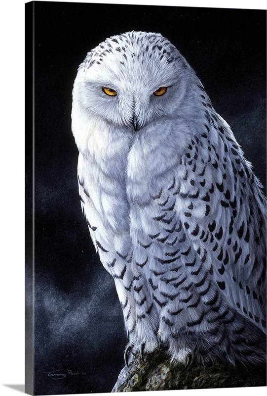 Snowy Owl | Great Big Canvas