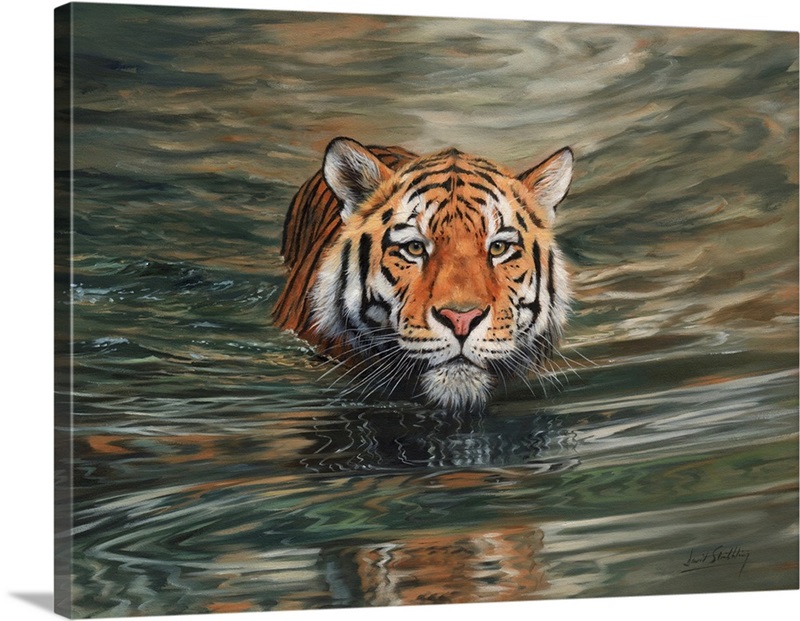Tiger Water Swimming | Great Big Canvas