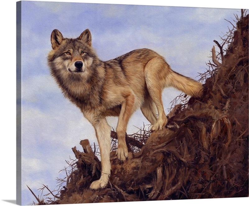 Wolf Tree Root | Great Big Canvas