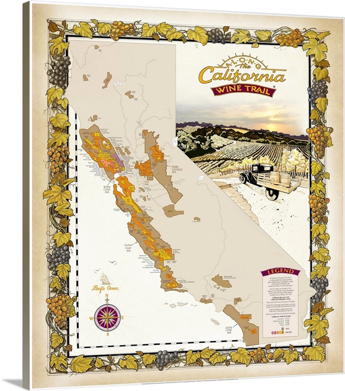 Along the California Wine Trail Map | Great Big Canvas