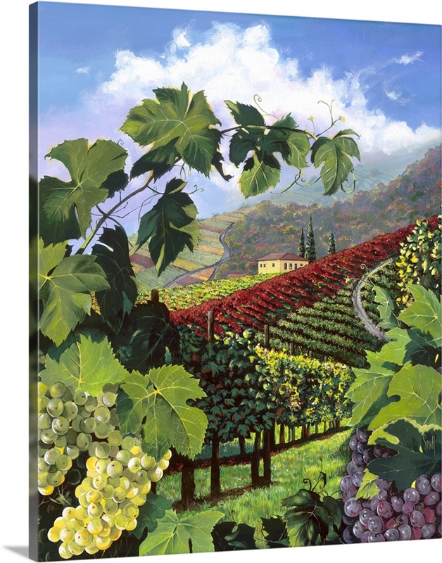 One Vine Day | Great Big Canvas