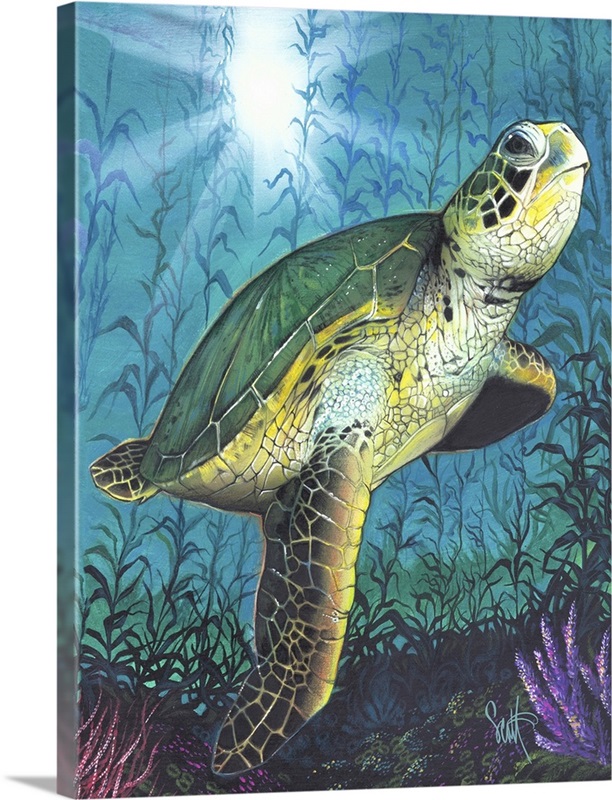Turtle | Great Big Canvas