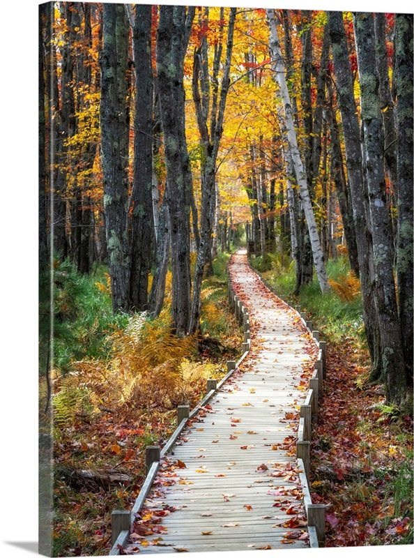 Autumn Boardwalk I | Great Big Canvas