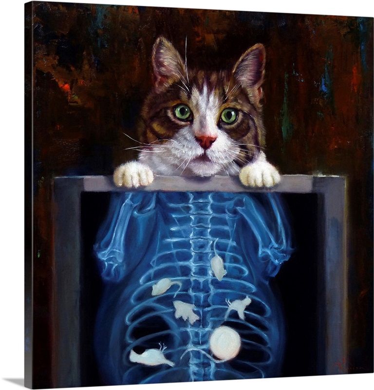 Cat Scan | Great Big Canvas