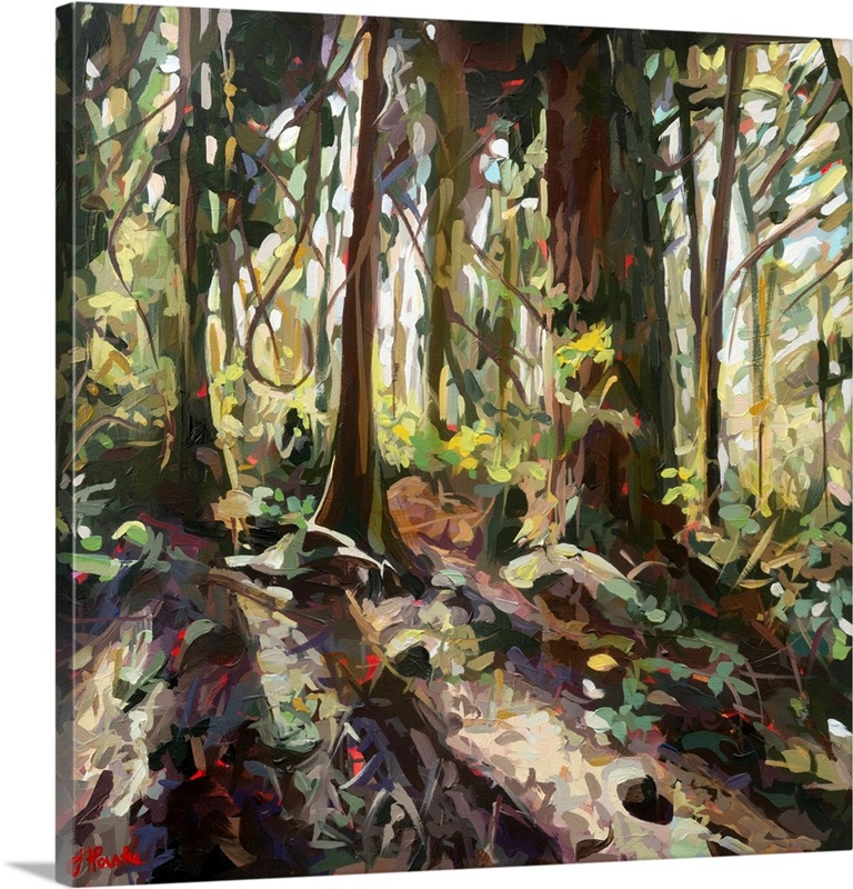 Cedar Shadows | Great Big Canvas