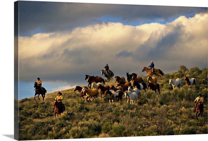 Chasing Thunder | Great Big Canvas