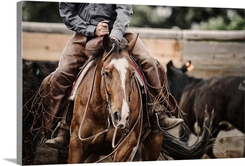 Cutting Horse | Great Big Canvas