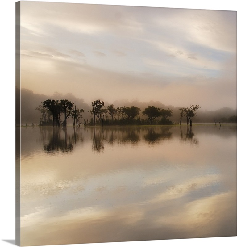 Dawn Mist on the Amazon | Great Big Canvas