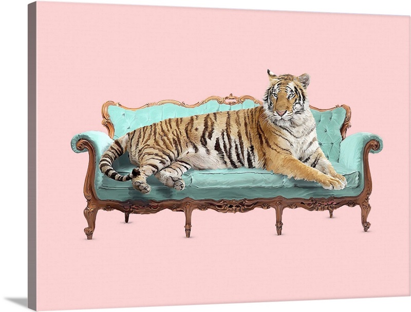 Lazy Tiger | Great Big Canvas