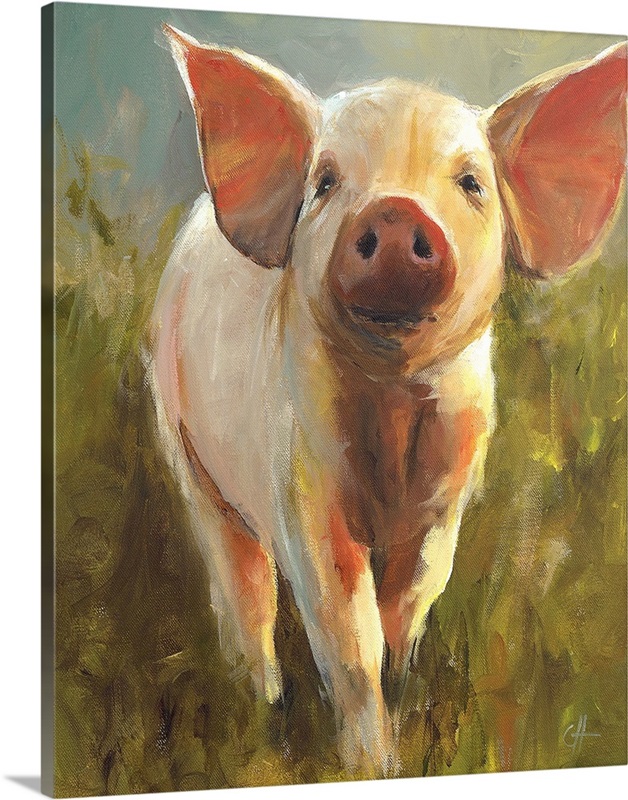 Morning Pig | Great Big Canvas