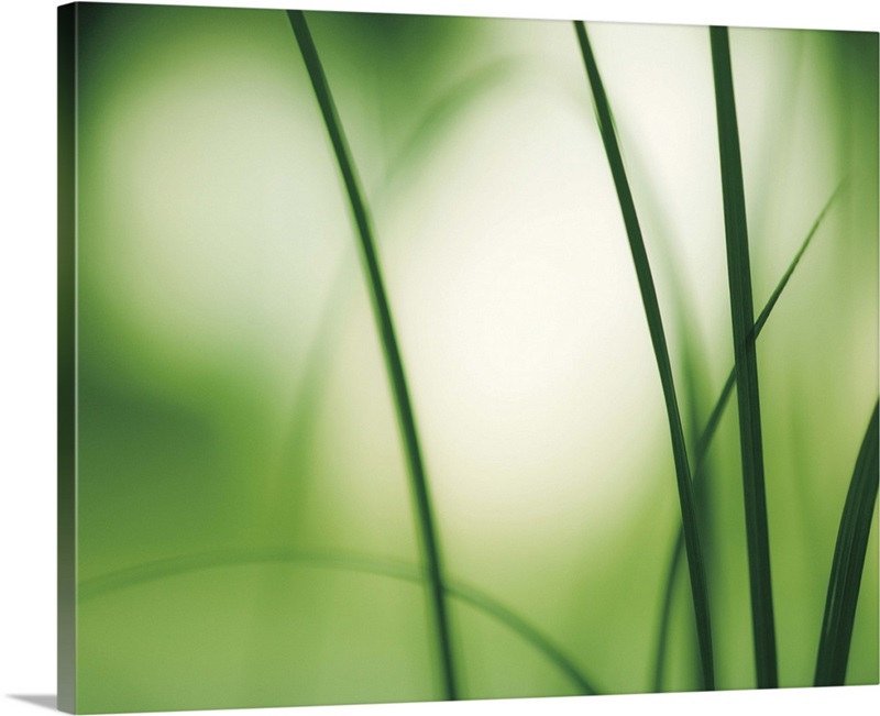 Natural Flow | Great Big Canvas