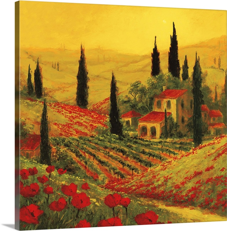 Poppies of Toscano II | Great Big Canvas