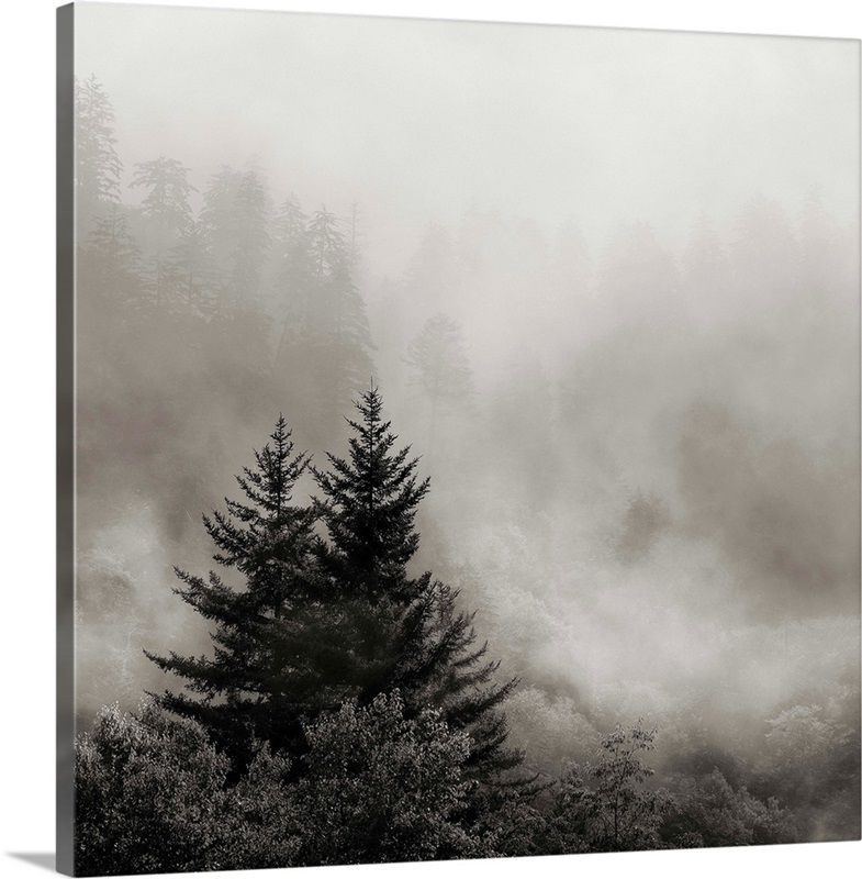 Rising Mist, Smoky Mountains | Great Big Canvas