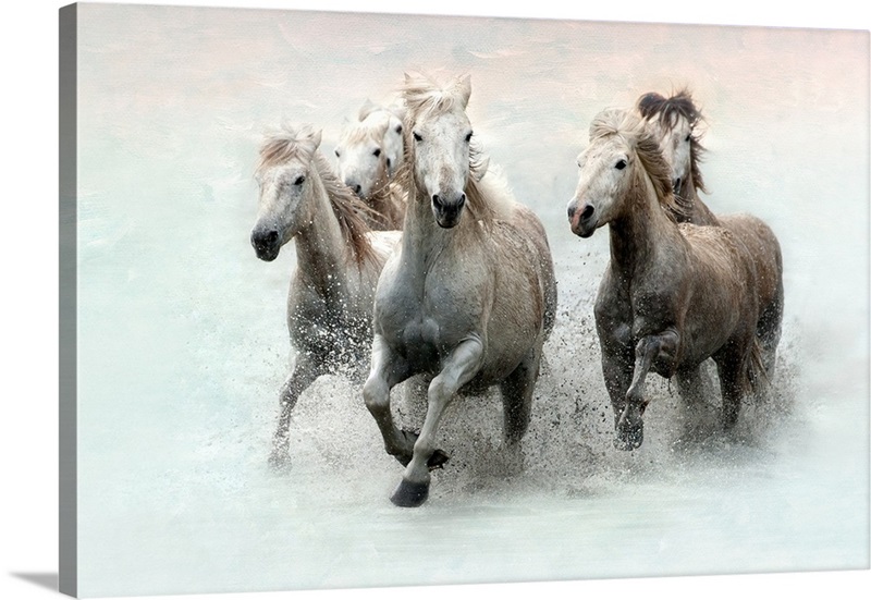 Run and Splash | Great Big Canvas