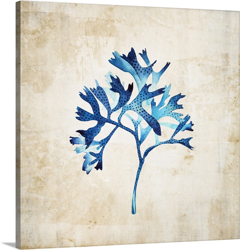 Sea life I | Great Big Canvas