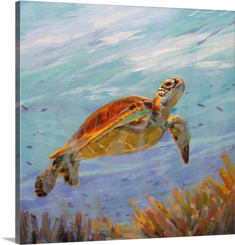 Seeking The Sun | Great Big Canvas