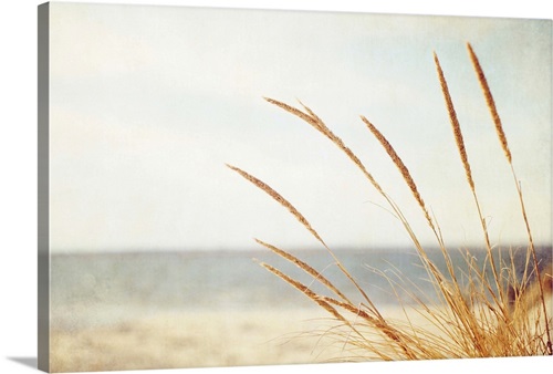 Warm Breeze | Great Big Canvas