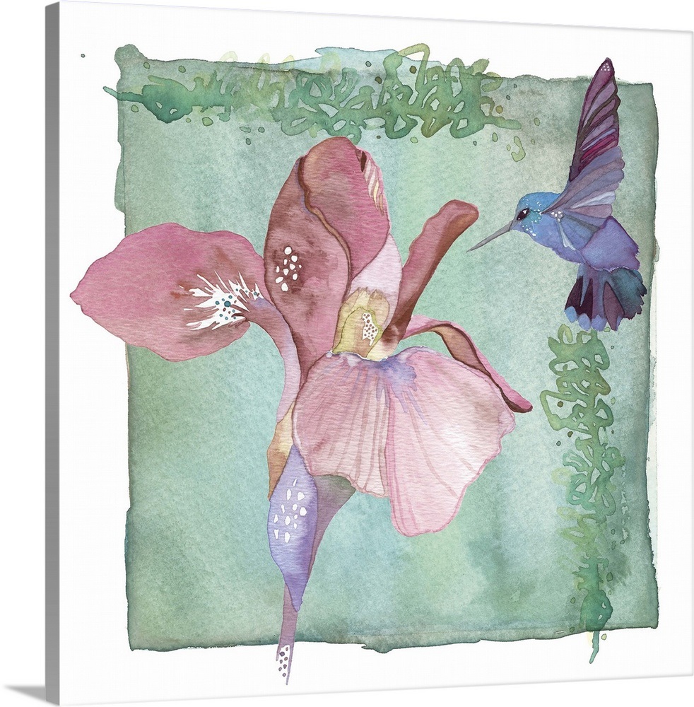 Hummingbird and Flower - Iris Wall Art, Canvas Prints, Framed Prints ...