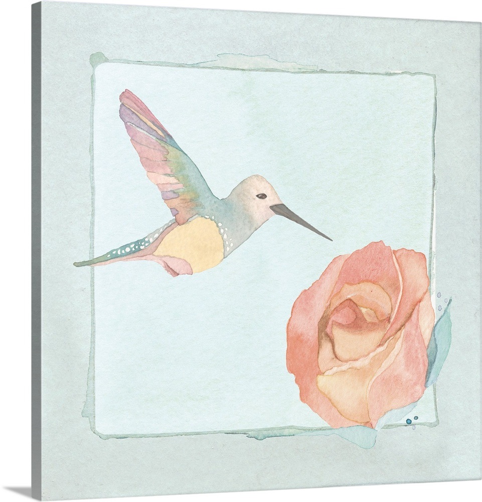 Hummingbird and rose - pale aqua Wall Art, Canvas Prints, Framed Prints ...