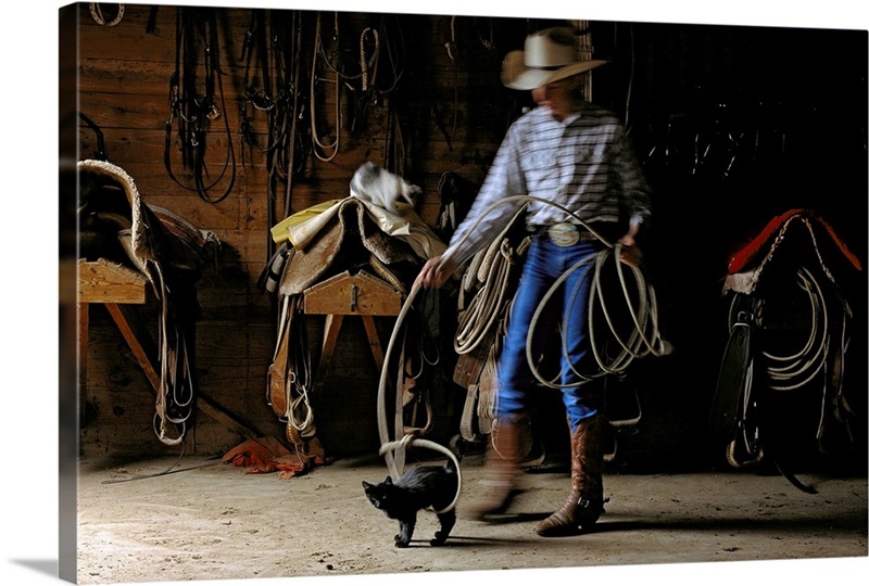 Cowboy playfully lassoes a kitten | Great Big Canvas