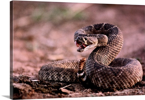 Mangum, Oklahoma | Great Big Canvas