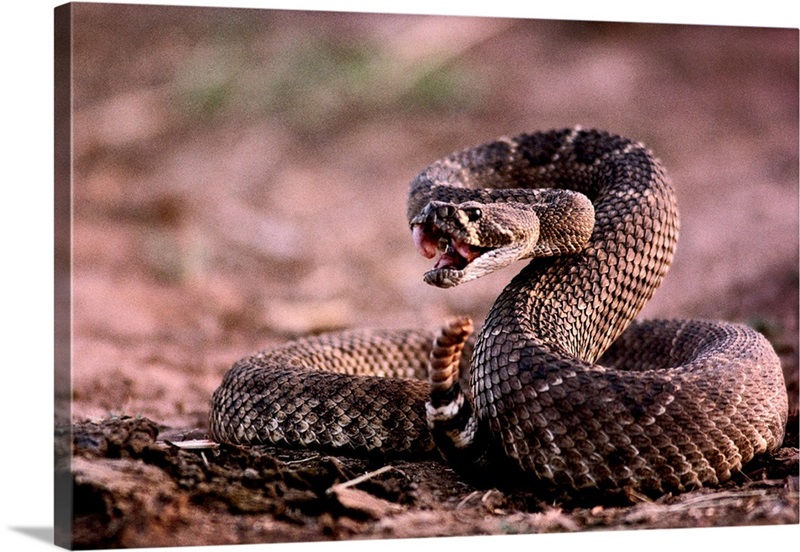 Mangum, Oklahoma | Great Big Canvas