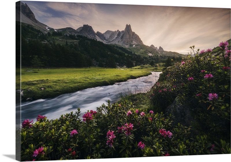 Alpine Meadows During A Summer Sunset, Val Claree, Southern France ...