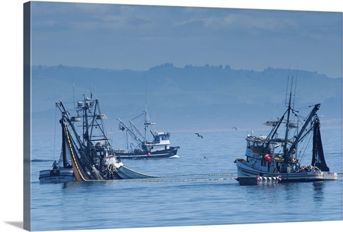 California, Monterey, Fishing boats | Great Big Canvas