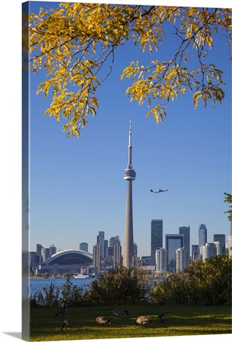 Canada, Ontario, Toronto, View of CN Tower and city skyline from Center ...