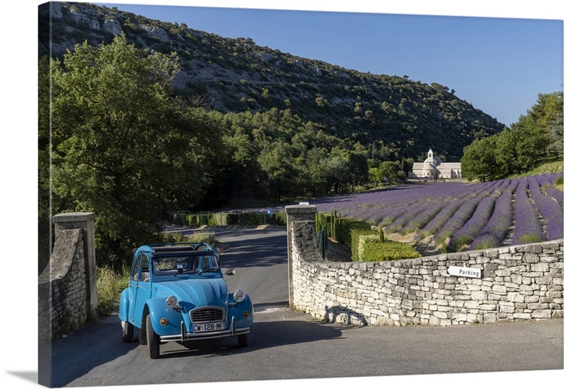 Citroen 2CV, Senanque Abbey, And Field Of Lavender, Provence-Alpes-Cote ...
