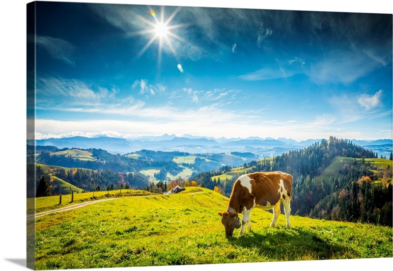 Emmental Valley, Berner Oberland, Switzerland Wall Art, Canvas Prints ...