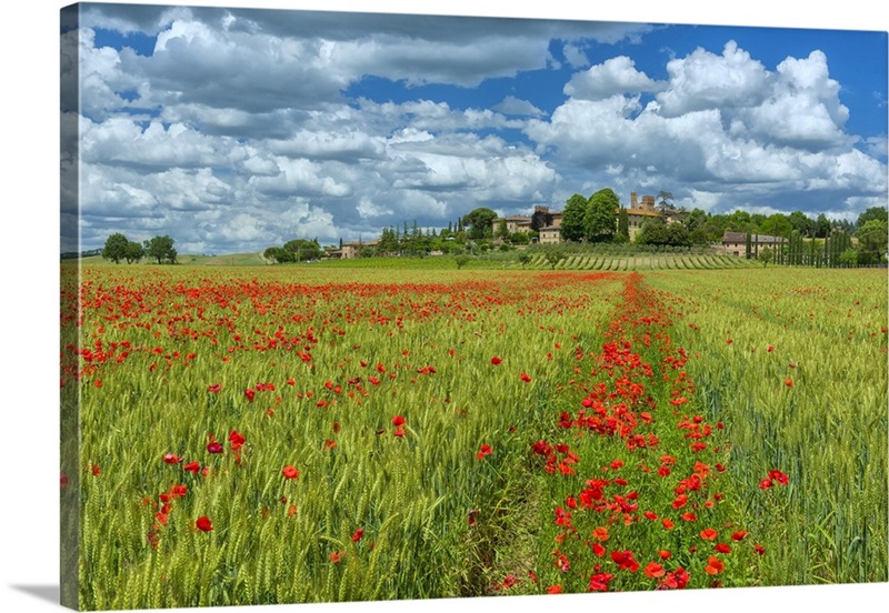 Europe, European, Italian, Italy, Tuscany, Tuscan, Torrenieri | Great ...