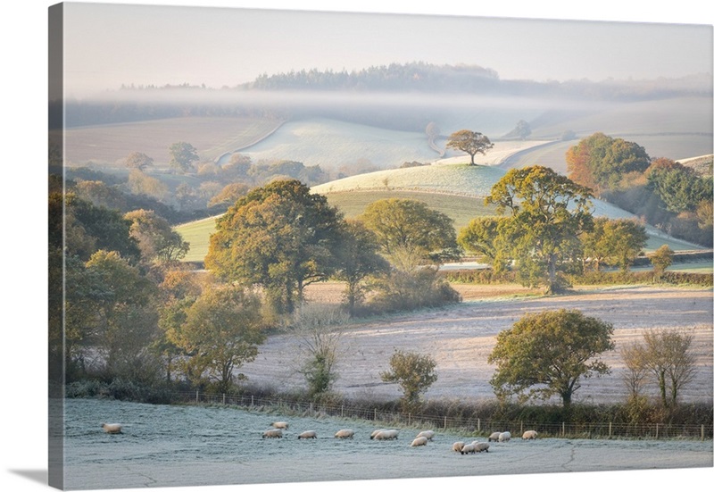 Frost Covered Countryside At Dawn, Mid Devon, England | Great Big Canvas