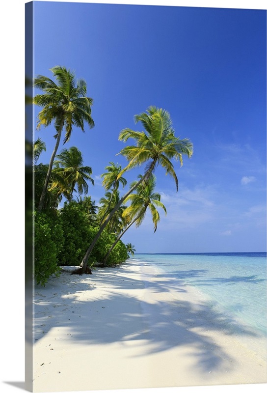 Maldives, Faafu Atoll, Filitheyo Island | Great Big Canvas