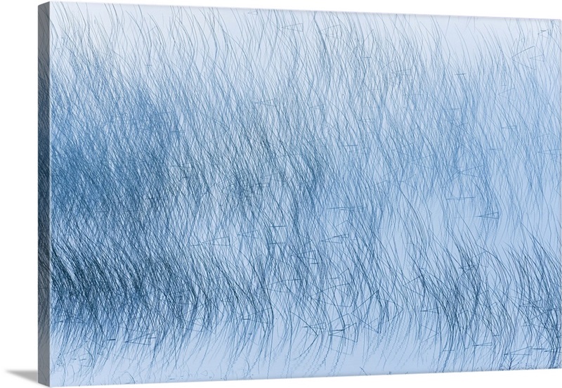 Reed Pattern On Maskinonge Lake Waterton Lakes National Park, Alberta ...