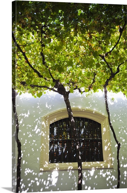 Spain, Andalucia Region, Sherry Triangle Area, bodega courtyard | Great ...