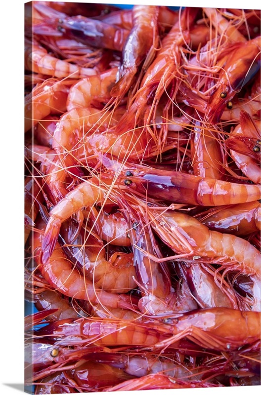 Spain, Costa Brava, Tray Of Prawns At The Palamas Market | Great Big Canvas