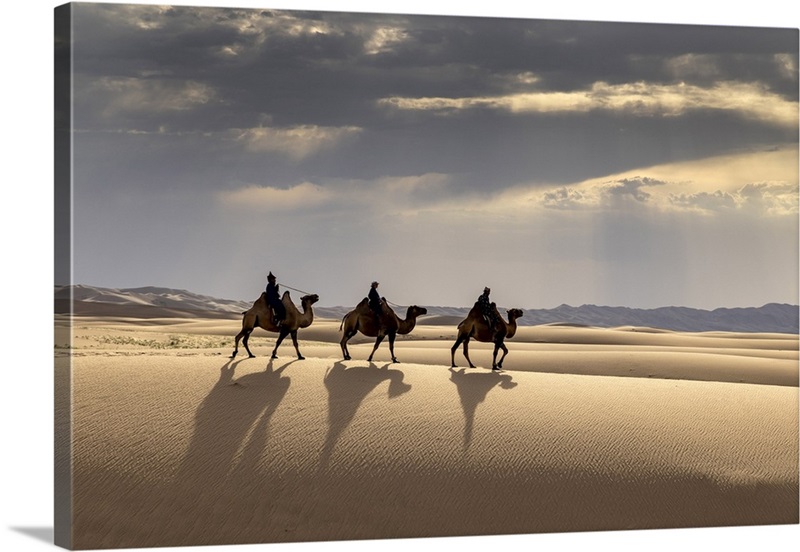 Three Camel Herders Riding Their Camels In The Khongor Dunes, Gobi ...